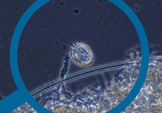 News | City of Santa Barbara